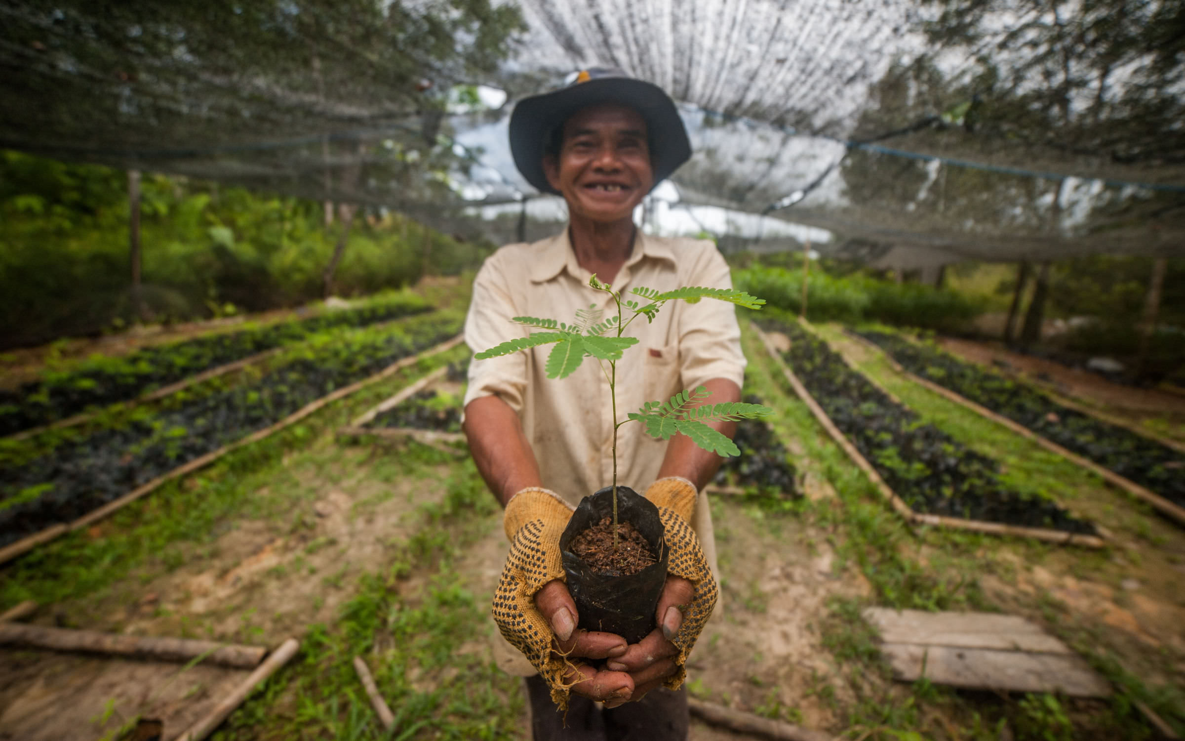 Werknews July 2021 – 50,000 trees (and counting) planted in the name of ...