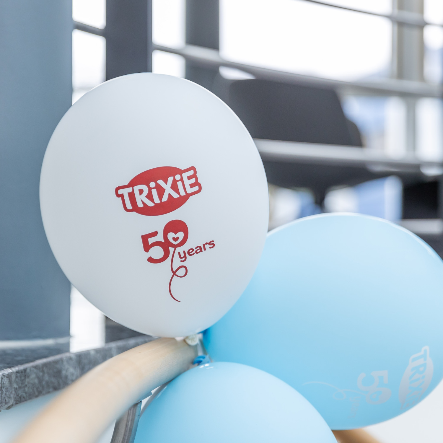 Logo Design for Trixie - Fontwerk